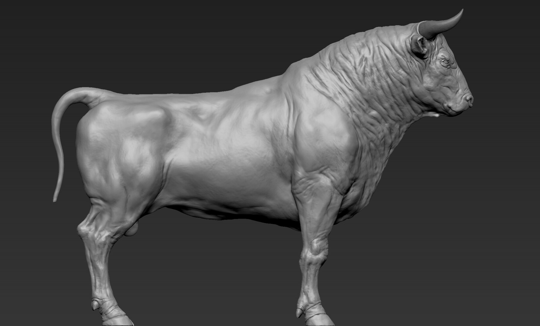 ArtStation - Bull Realistic Sculpt | Resources