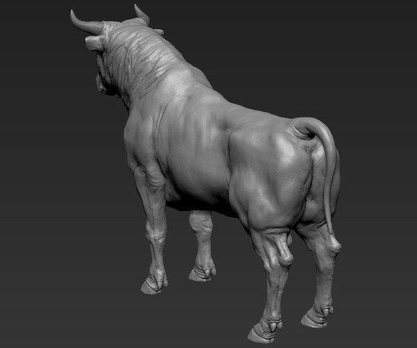 ArtStation - Bull Realistic Sculpt | Resources