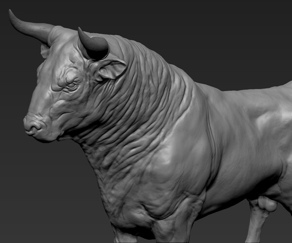 ArtStation - Bull Realistic Sculpt | Resources