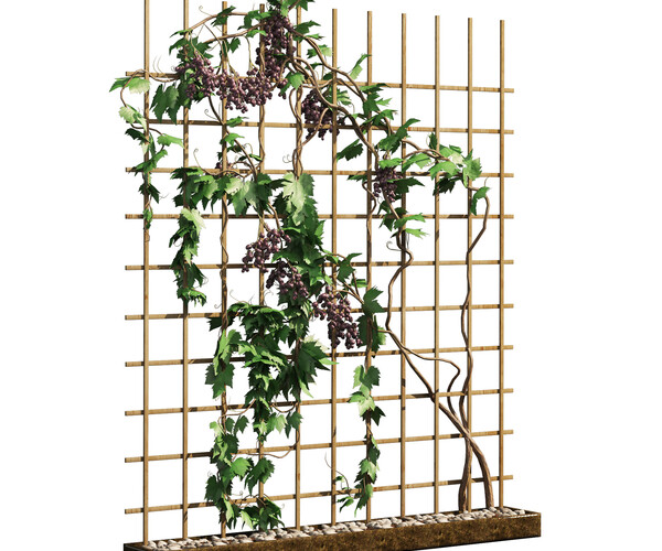 ArtStation - 2 Grapevine low and med poly | Resources