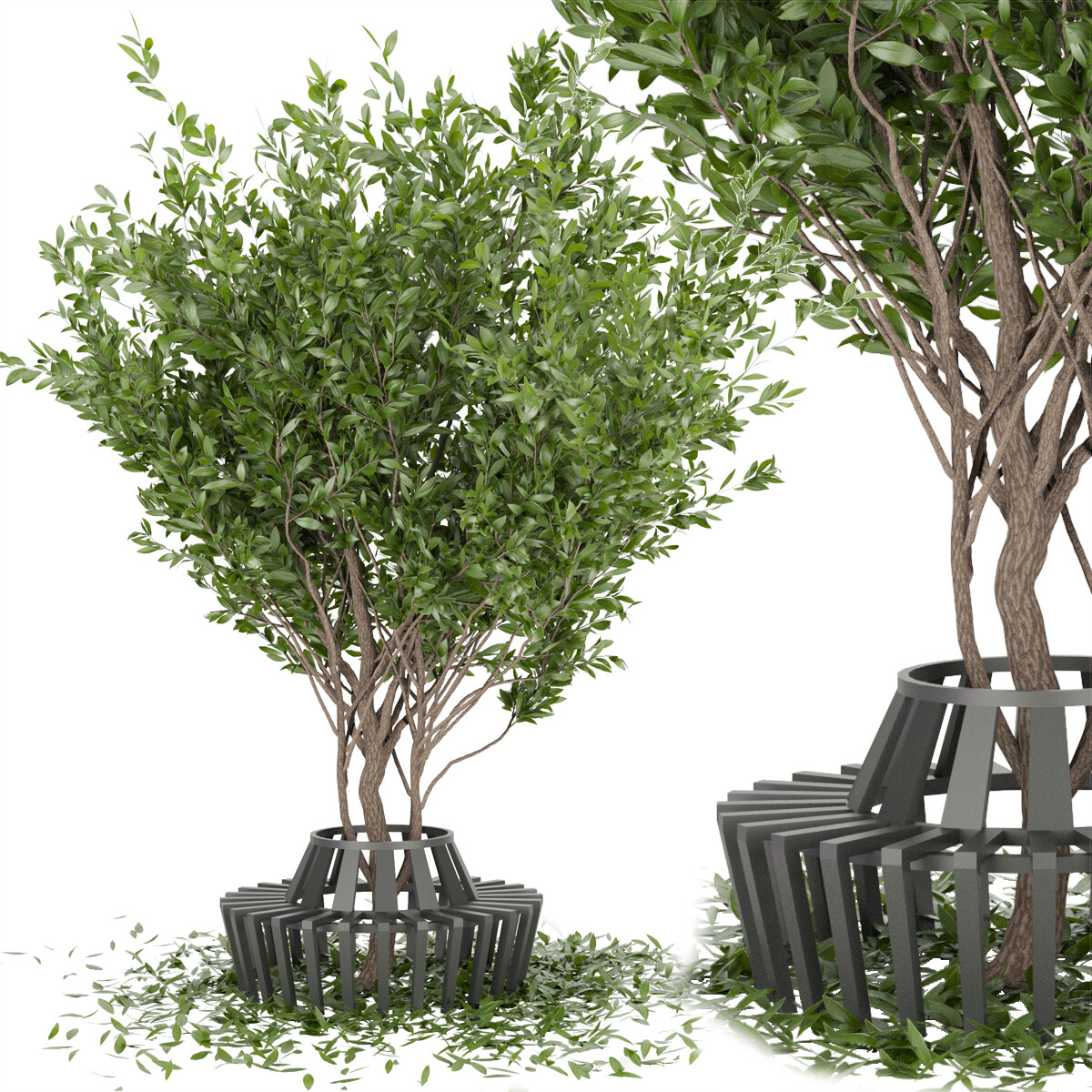 ArtStation - Collection plant vol 106 - leaf - tree - blender - 3dmax ...
