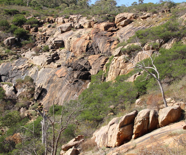 ArtStation - Australian bush & rocks reference pack | Resources