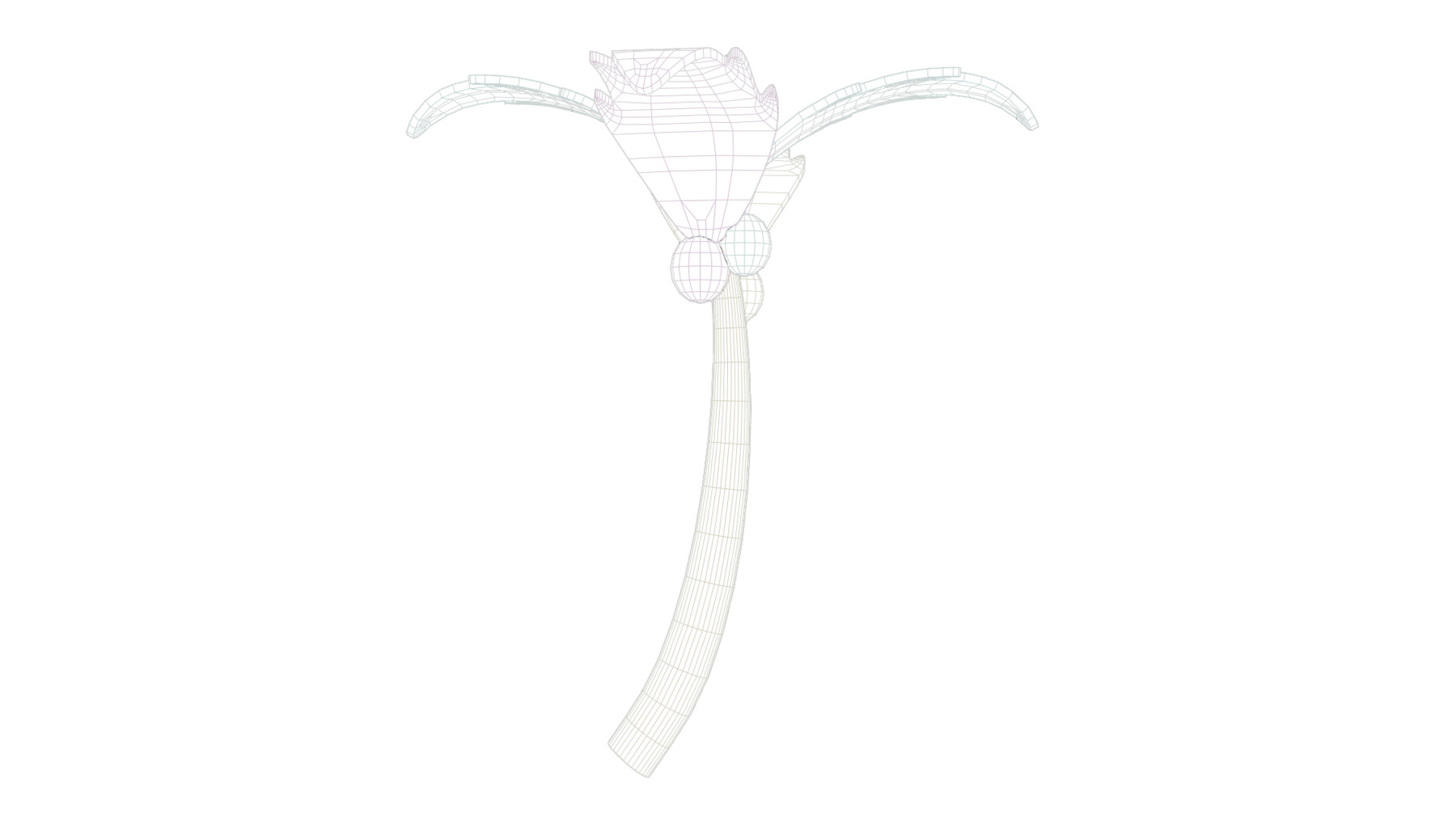 ArtStation - Stylized Coconut Tree Collection | Game Assets