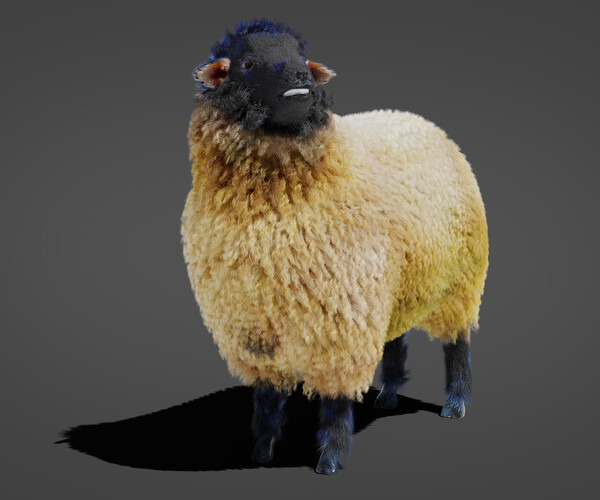 ArtStation - Fur Sheep Rigged in Blender | Game Assets