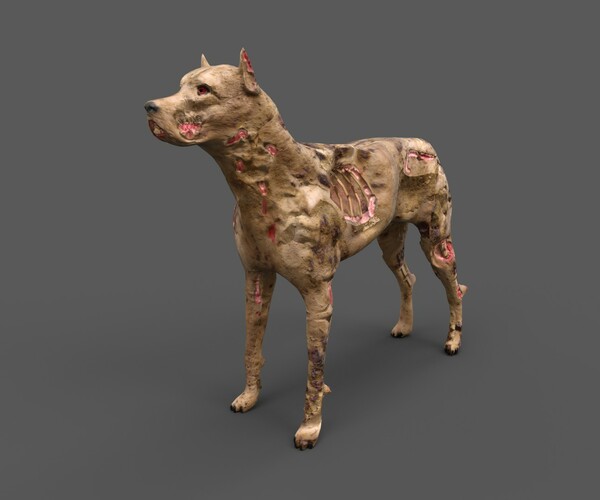 ArtStation - Zombie Dog 3d model | Game Assets