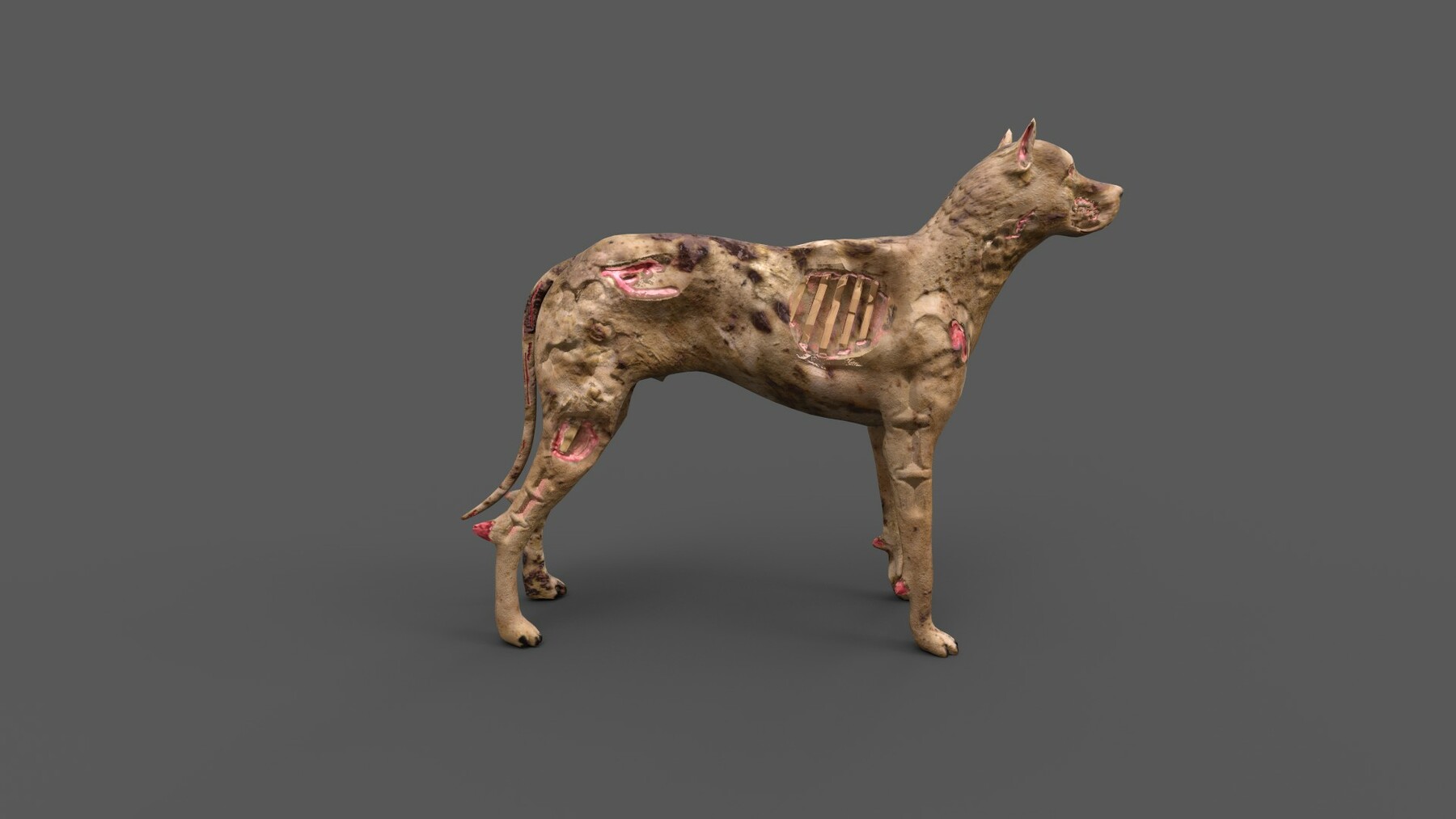 ArtStation - Zombie Dog 3d model | Game Assets