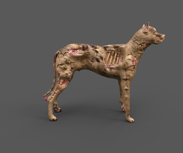 ArtStation - Zombie Dog 3d model | Game Assets