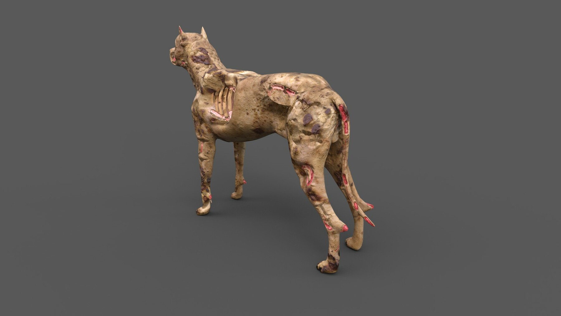 ArtStation - Zombie Dog 3d model | Game Assets