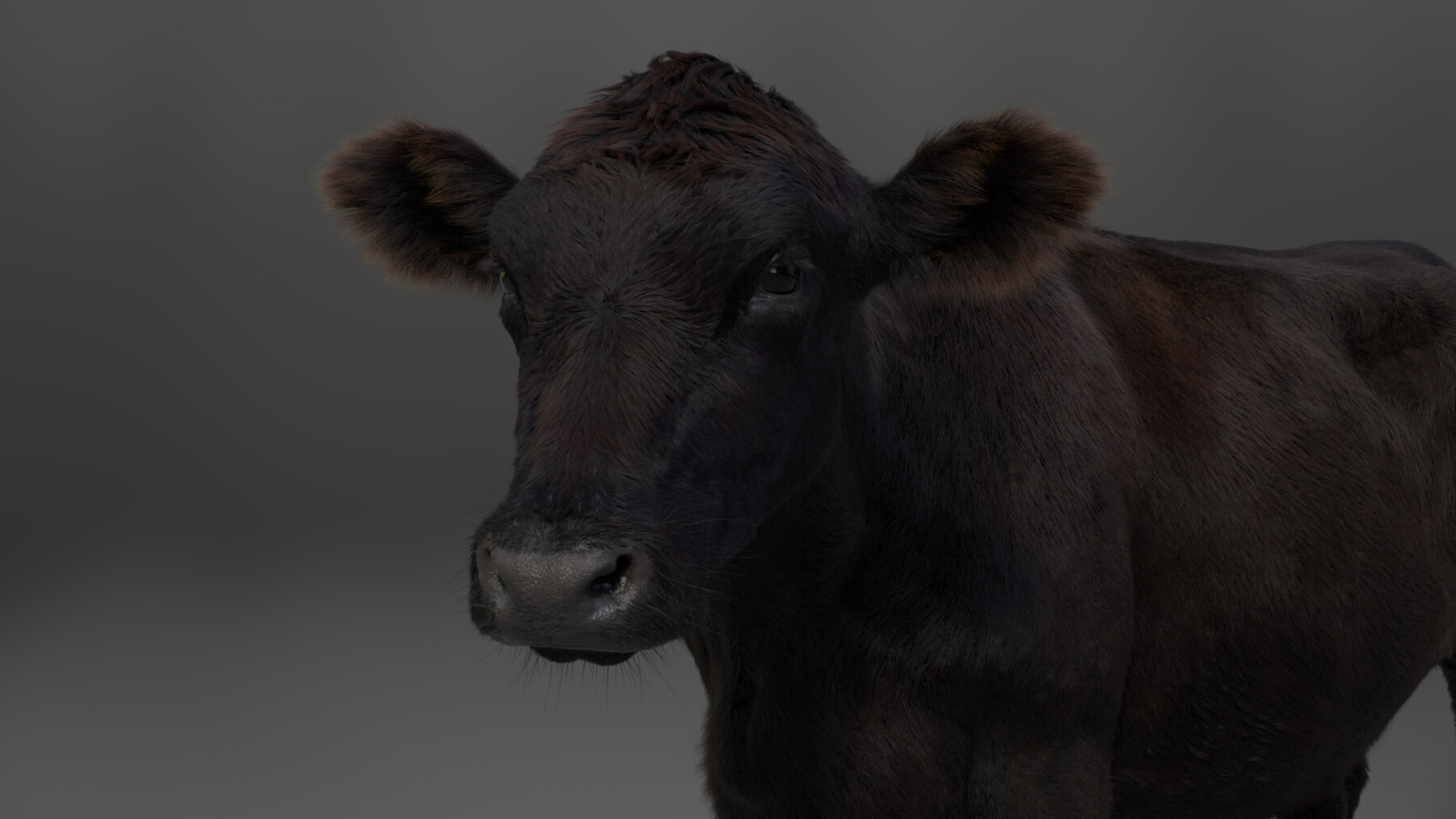 ArtStation - Black Cattle Animated | VFX Grace | Game Assets