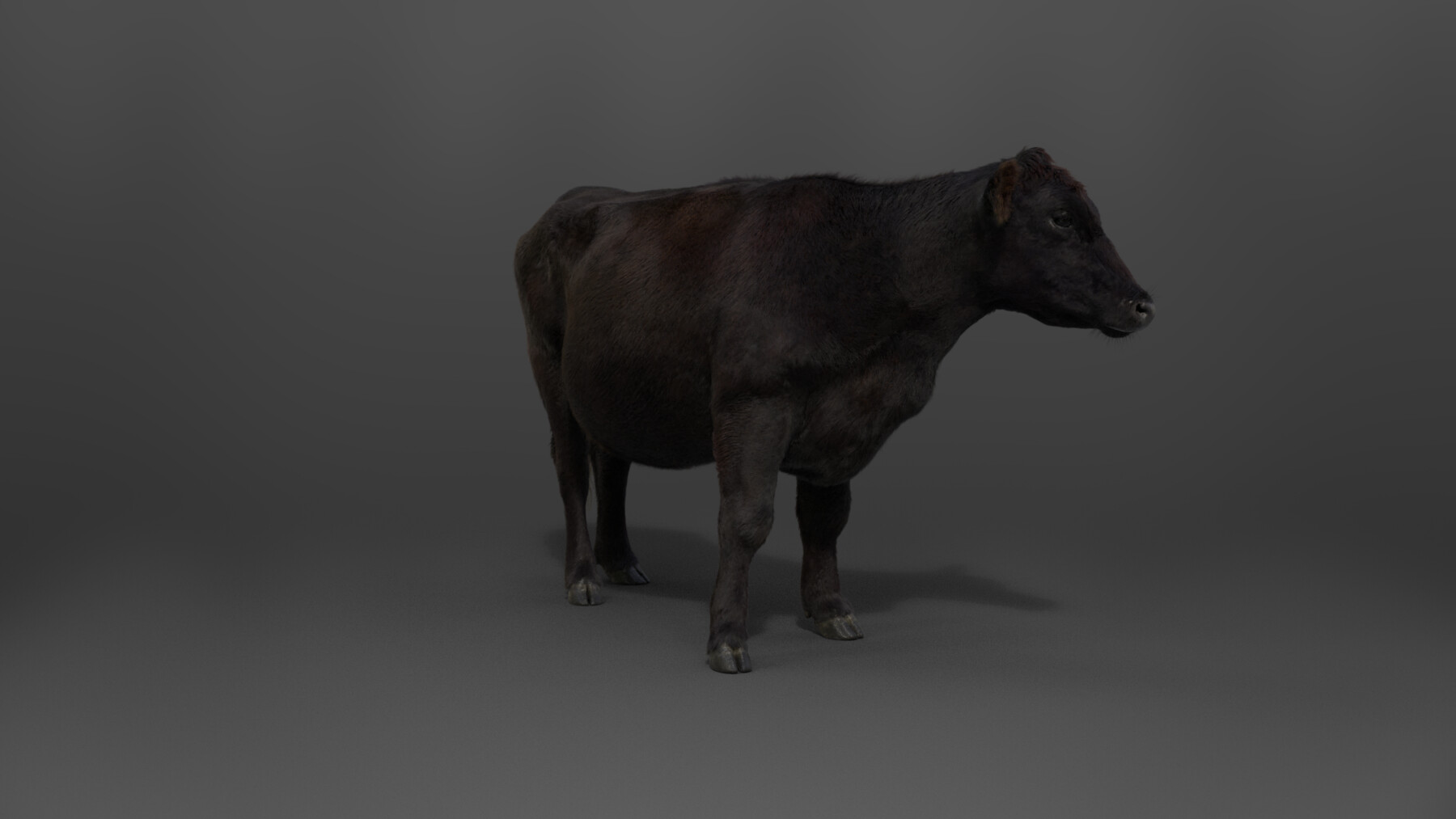 ArtStation - Black Cattle Animated | VFX Grace | Game Assets