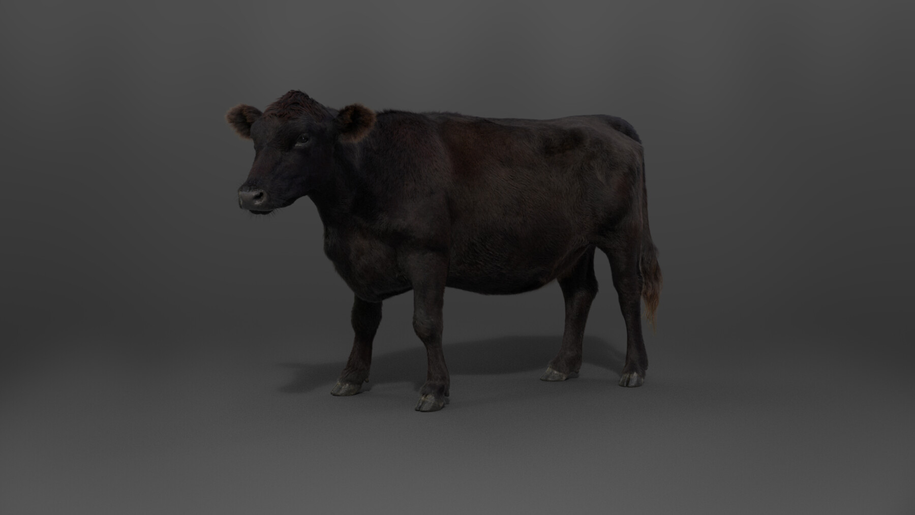 ArtStation - Black Cattle Animated | VFX Grace | Game Assets