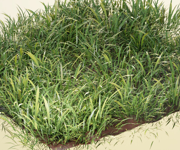 ArtStation - Realistic Grass | Game Assets