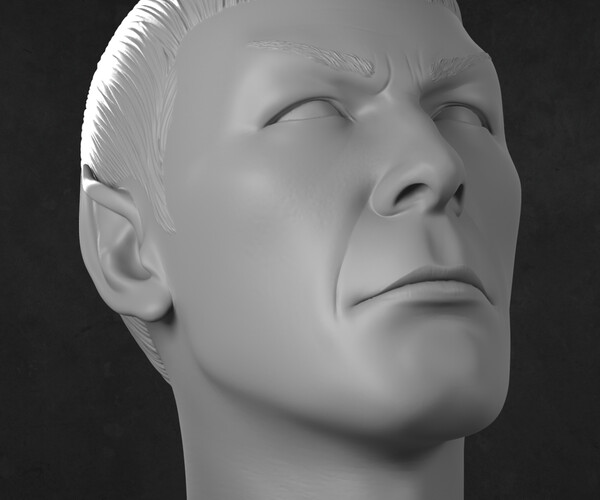 ArtStation - Spock 3D printable head | Resources