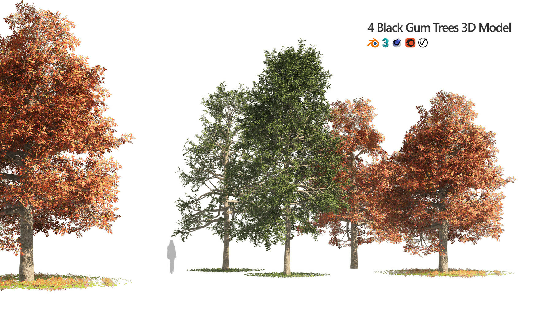 ArtStation - fall and summer black gum trees | Resources