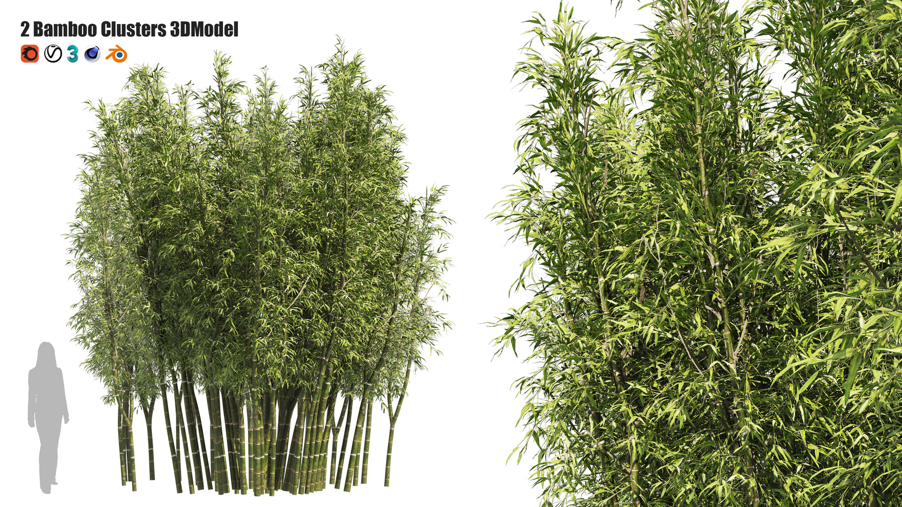 ArtStation - 2 Bamboo Clusters | Resources