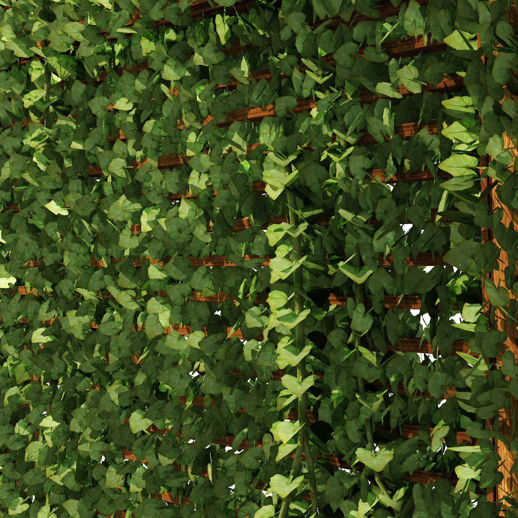 ArtStation - Pergola Vine Bower, Climbing plant | Resources