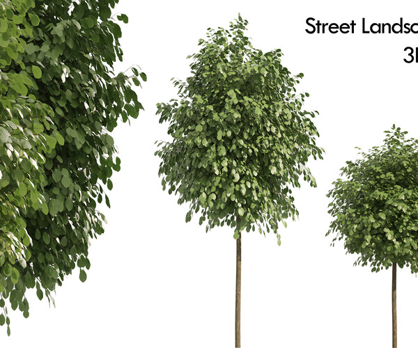 ArtStation - Street landscape tree 3d models | Resources