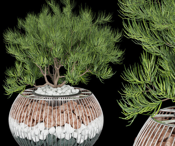 ArtStation - Collection plant vol 136 - pine - stone - leaf - blender ...
