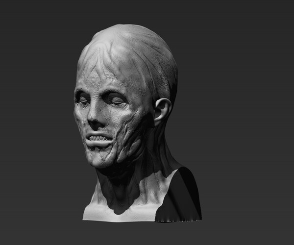 ArtStation - JASON MOM PAMELA VOORHEES head sculpt 3D print | Resources