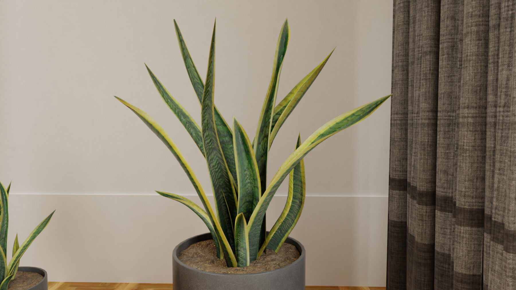 ArtStation - Snake Plants collection ( plants vol 01) | Game Assets