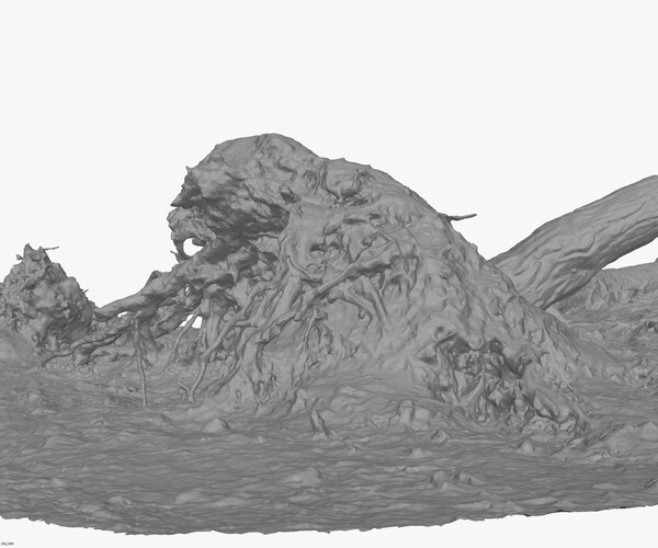 ArtStation - Fallen Pine Tree Bare Roots 1x16k 4x16k Textures 3D Model ...