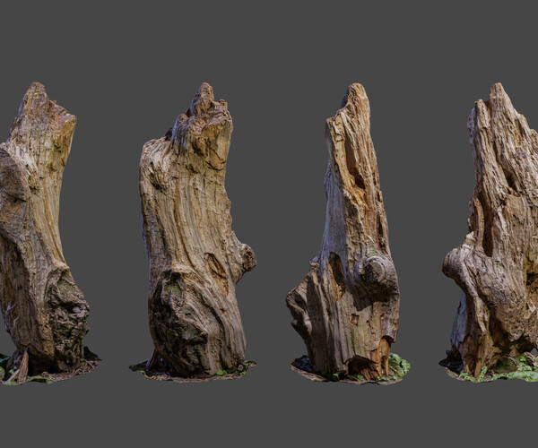 ArtStation - Stump | Game Assets
