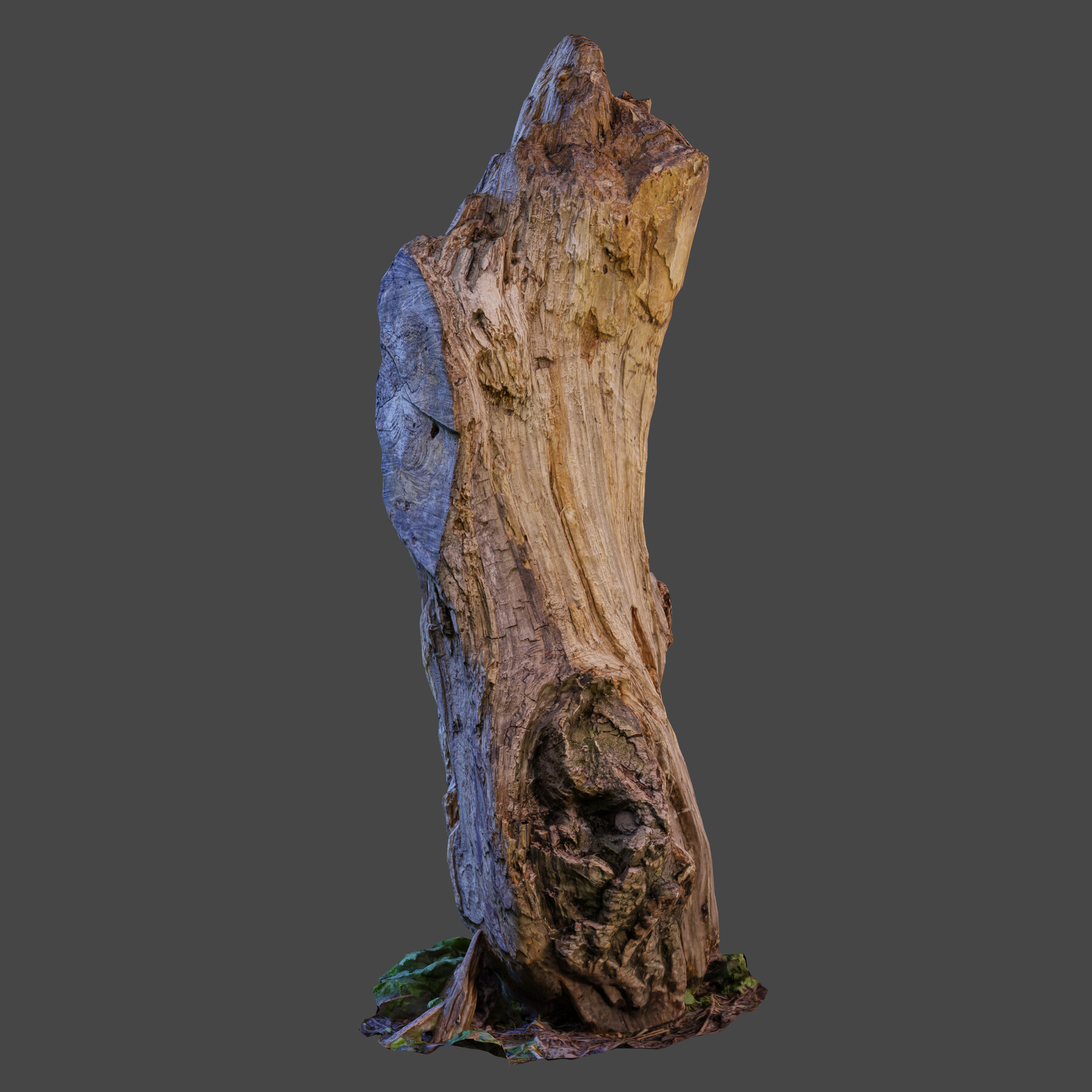 ArtStation - Stump | Game Assets