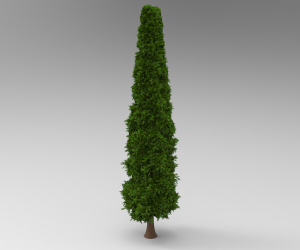 ArtStation - Pine tree | Game Assets