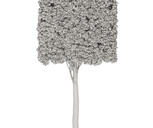 ArtStation - Rectangular shaped tree | Resources