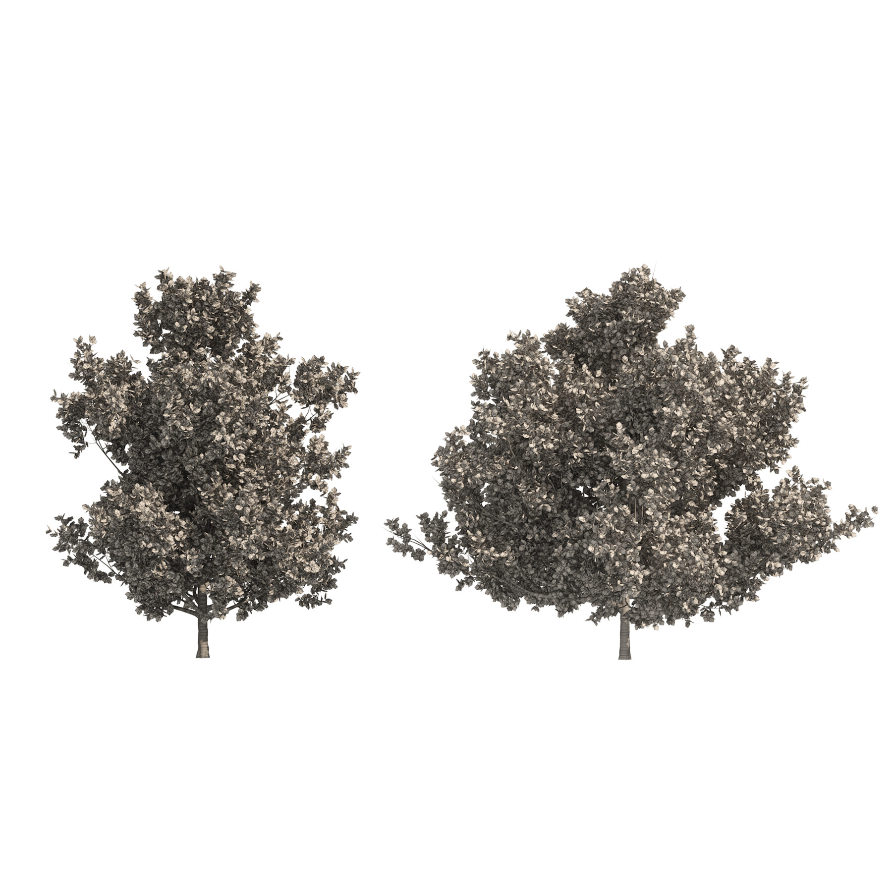 ArtStation - 4 summer and fall Oak tree | Resources