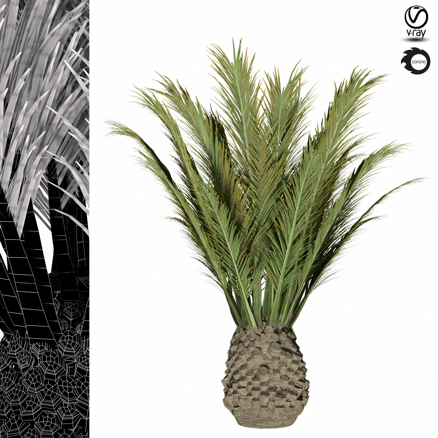 ArtStation - palm tree-s02 | Resources