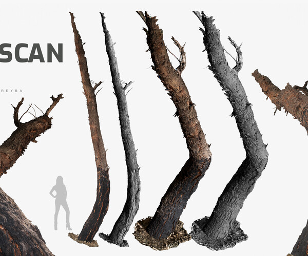 ArtStation - Burnt Tree Trunk 1x16k \ 2x16k Textures Ultra HQ mesh Raw ...