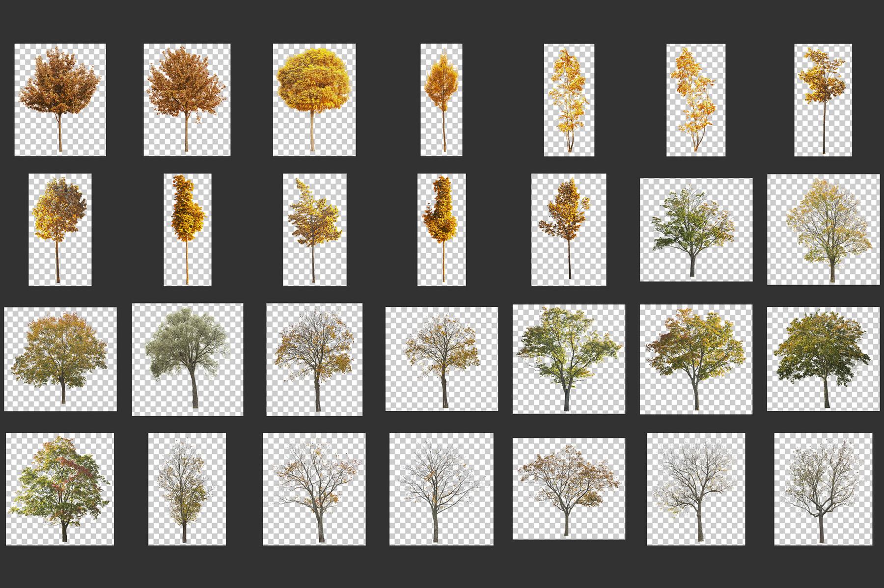 ArtStation - 100 Autumn trees isolated PNG transparent, Digital tree ...