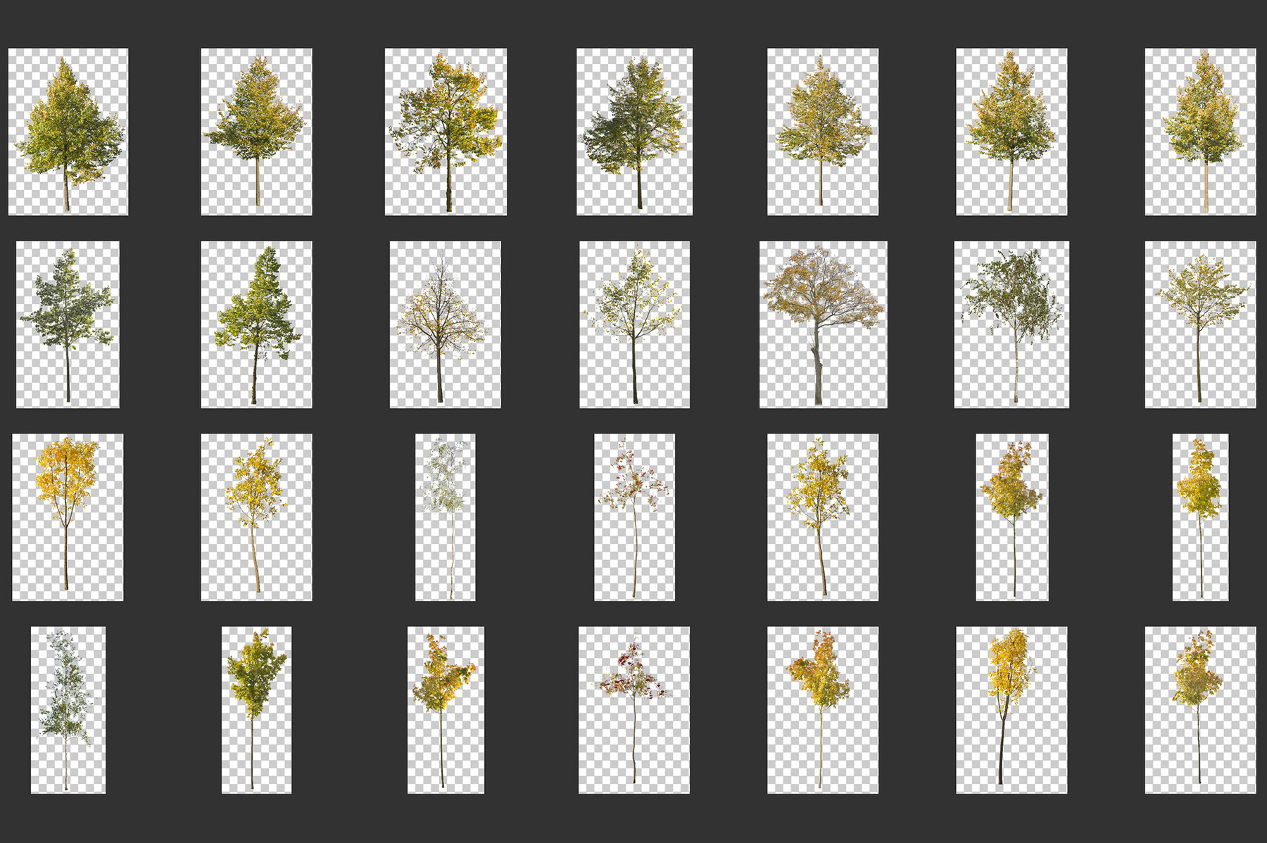 ArtStation - 100 Autumn trees isolated PNG transparent, Digital tree ...
