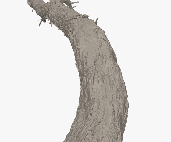 ArtStation - Burnt Tree Trunk 1x16k \ 2x16k Textures Ultra HQ mesh Raw ...