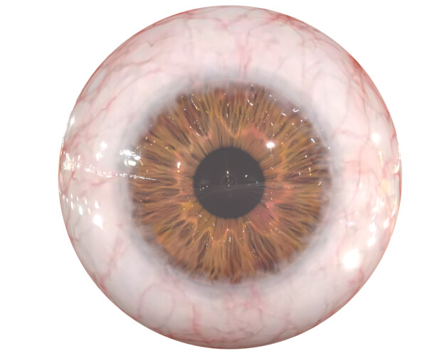 ArtStation - Human Eye | Resources