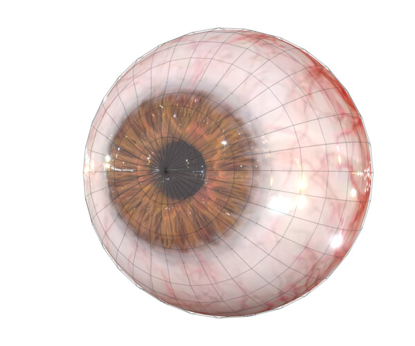 ArtStation - Human Eye | Resources