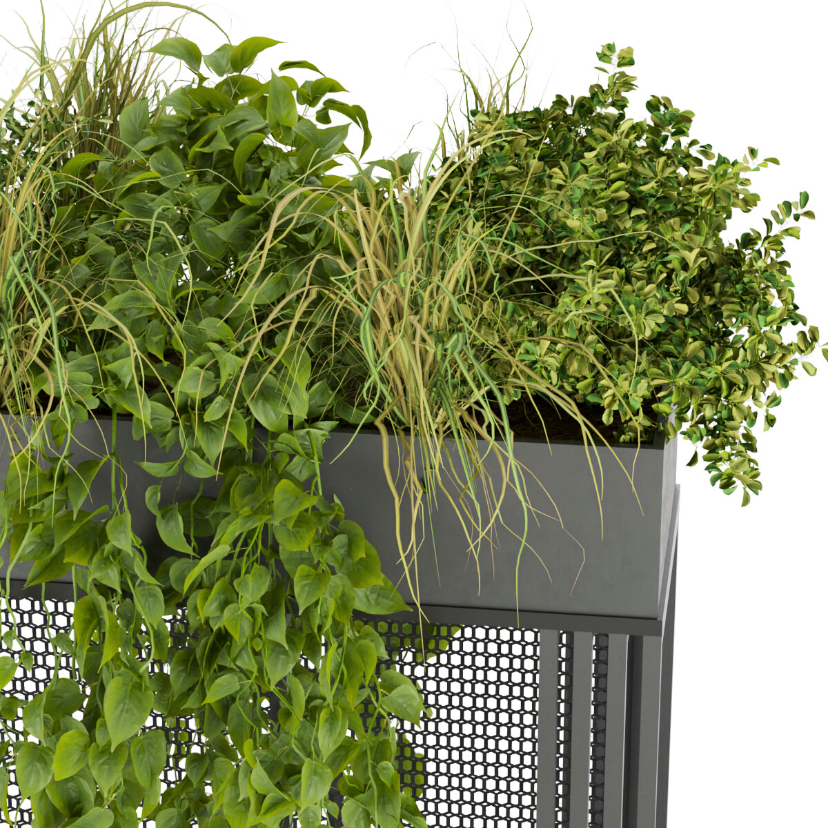 ArtStation - Collection plant vol 239 - leaf - grass - blender - 3dmax ...