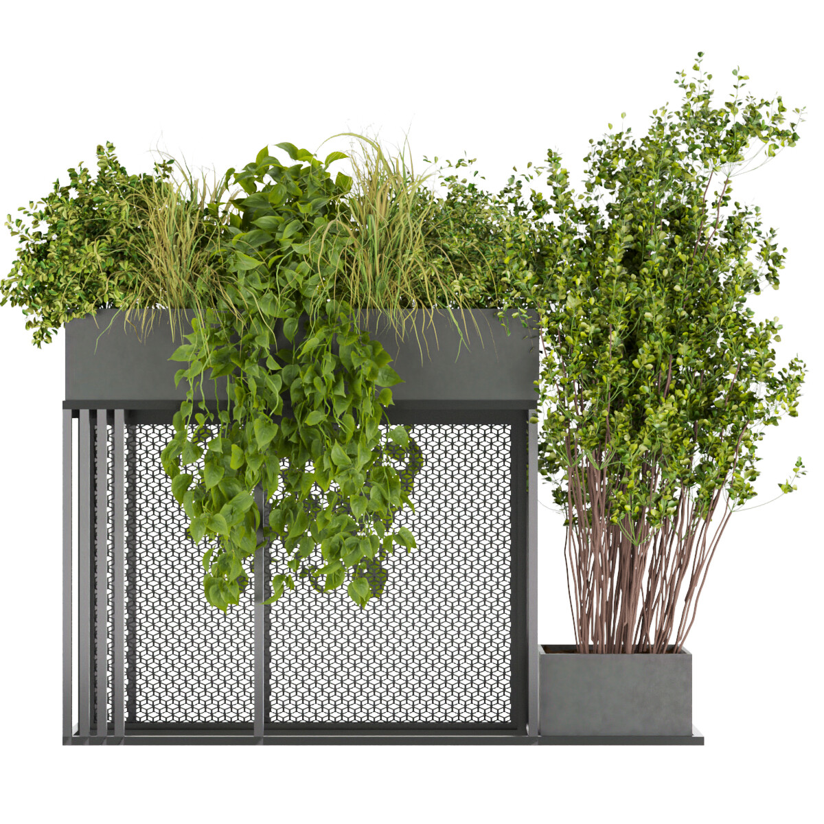 ArtStation - Collection plant vol 239 - leaf - grass - blender - 3dmax ...