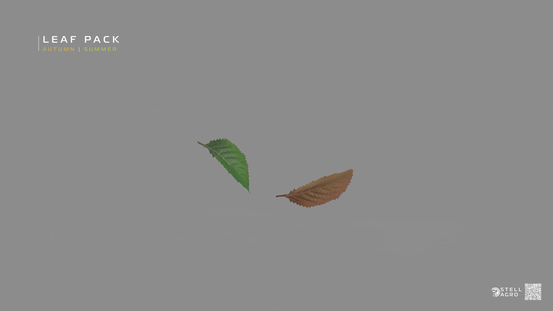 ArtStation - Leaf Pack | Stell Agro | Resources
