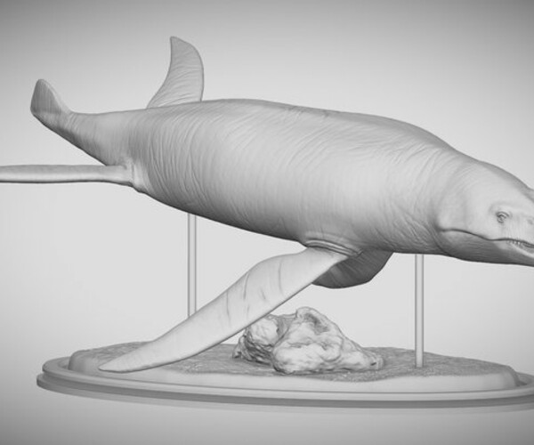 ArtStation - Pliosaurus funkei for 3D printing | Resources