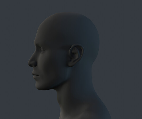 ArtStation - Male Head Basemesh | Resources