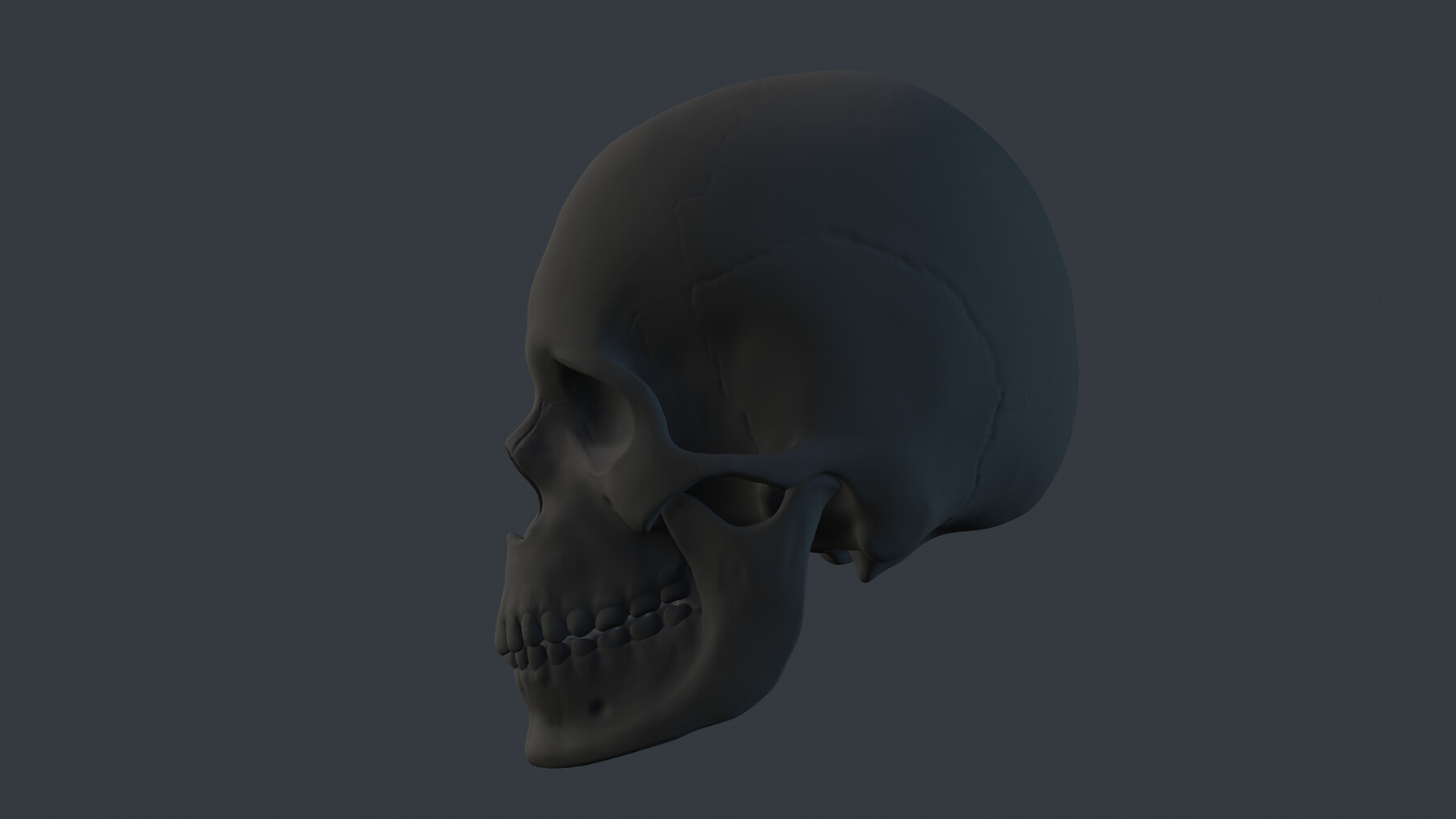 ArtStation - Female Skull | Resources