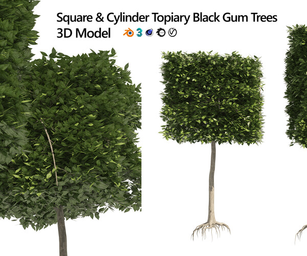 ArtStation - 2 square and cylinder topiary tree | Resources