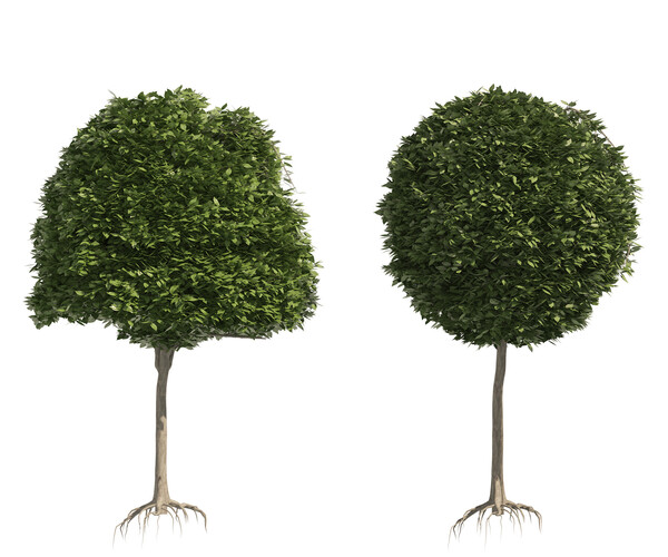 ArtStation - 2 round and dome topiary tree | Resources