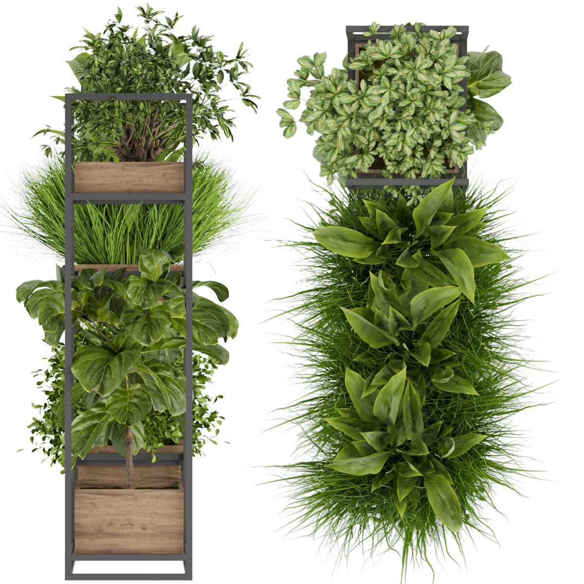 ArtStation - Collection plant vol 296 - indoor - leaf - blender - 3dmax ...