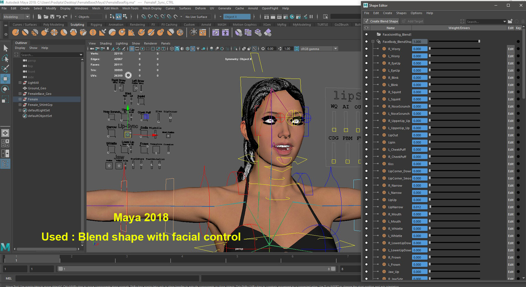 ArtStation - Female Base Rig | Game Assets