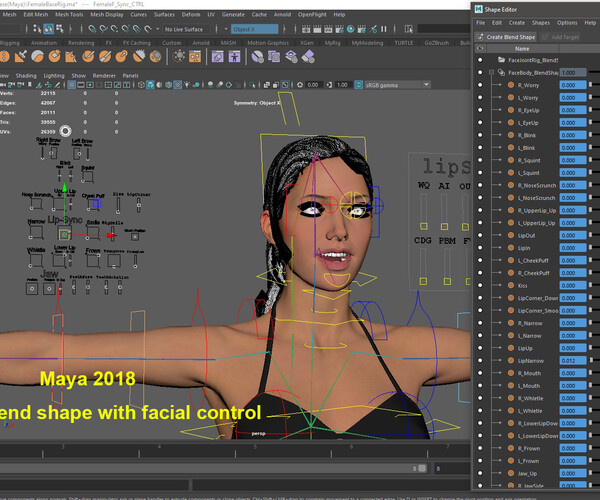 ArtStation - Female Base Rig | Game Assets
