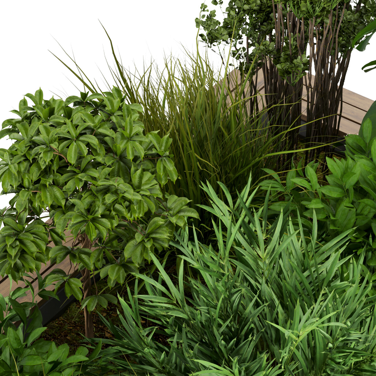 ArtStation - Collection plant vol 313 - outdoor - leaf - blender ...