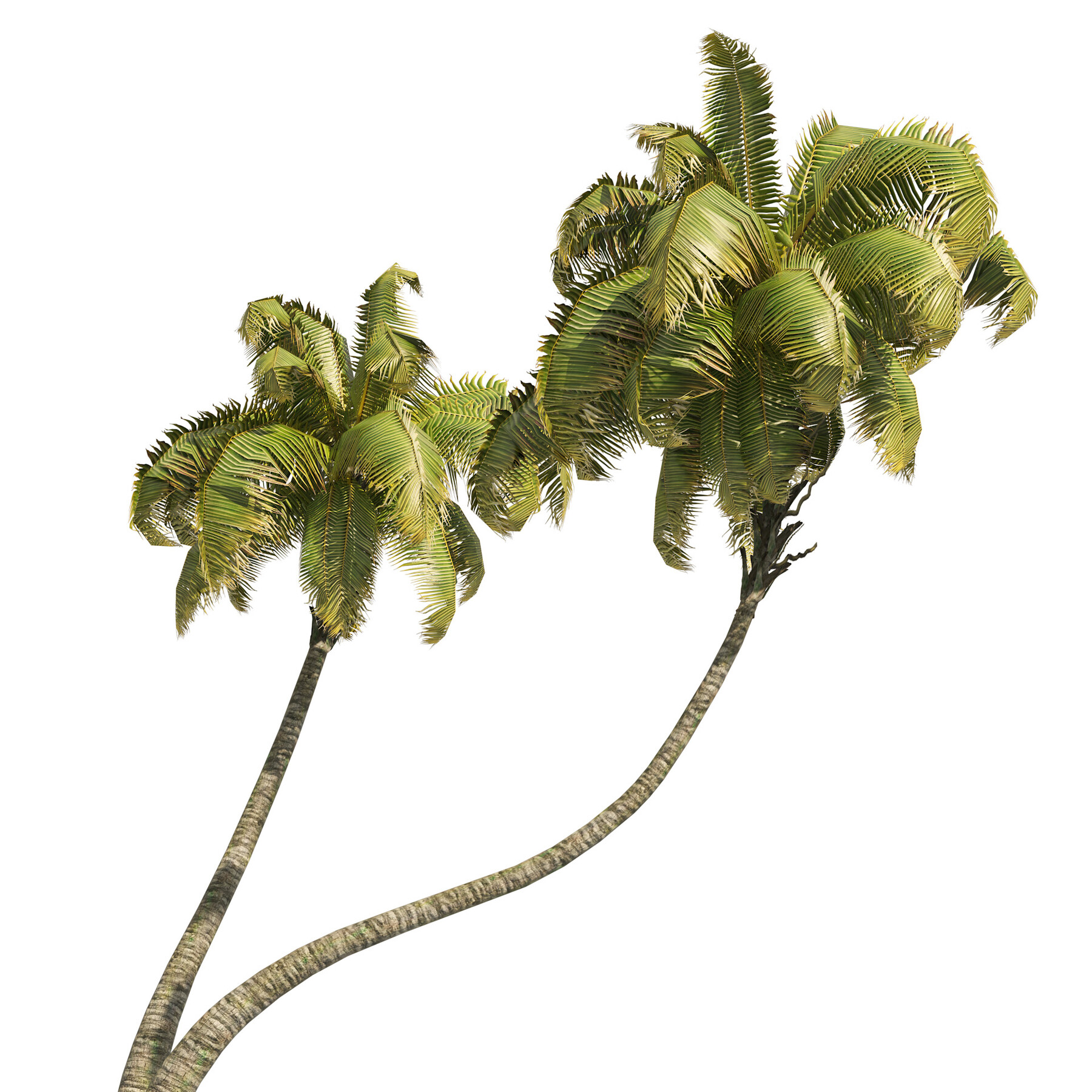 ArtStation - Coconut tree beach, low poly | Resources